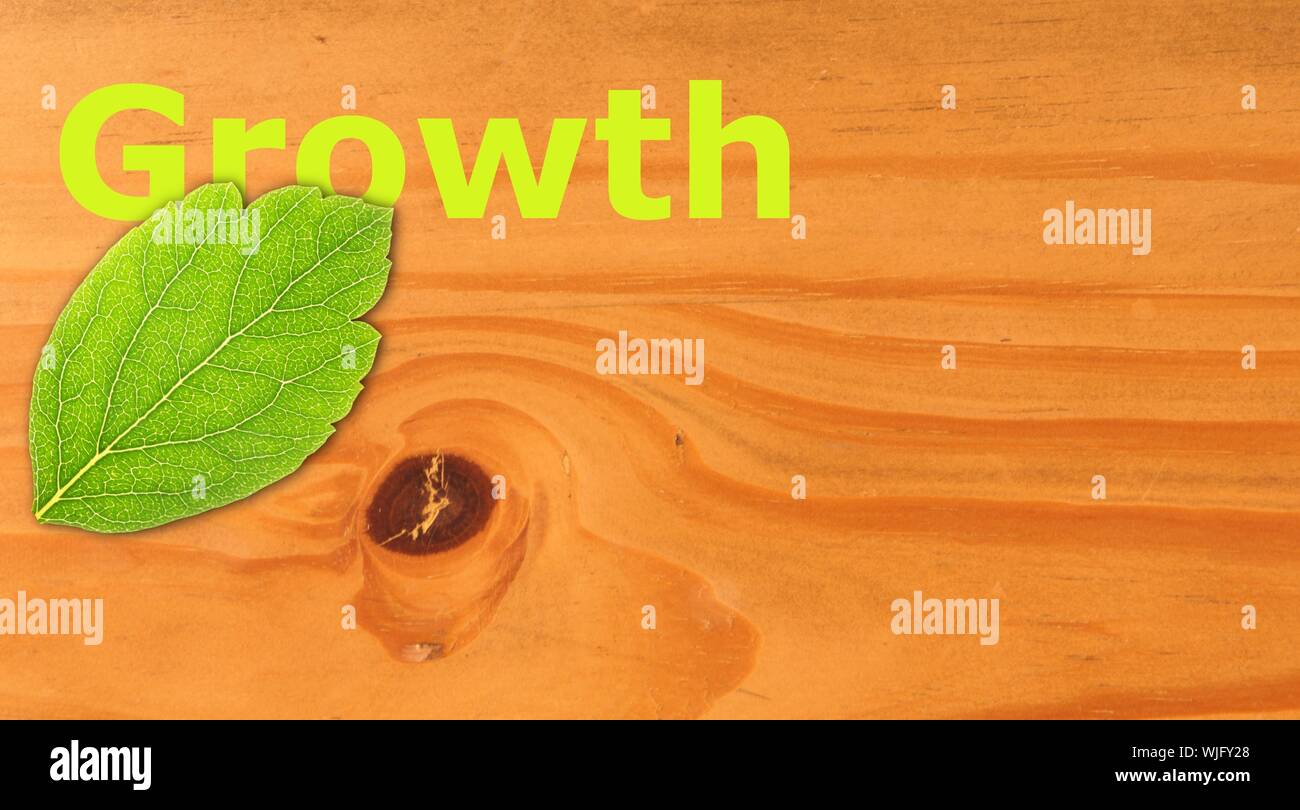 growth concept with word on nature still life Stock Photo - Alamy