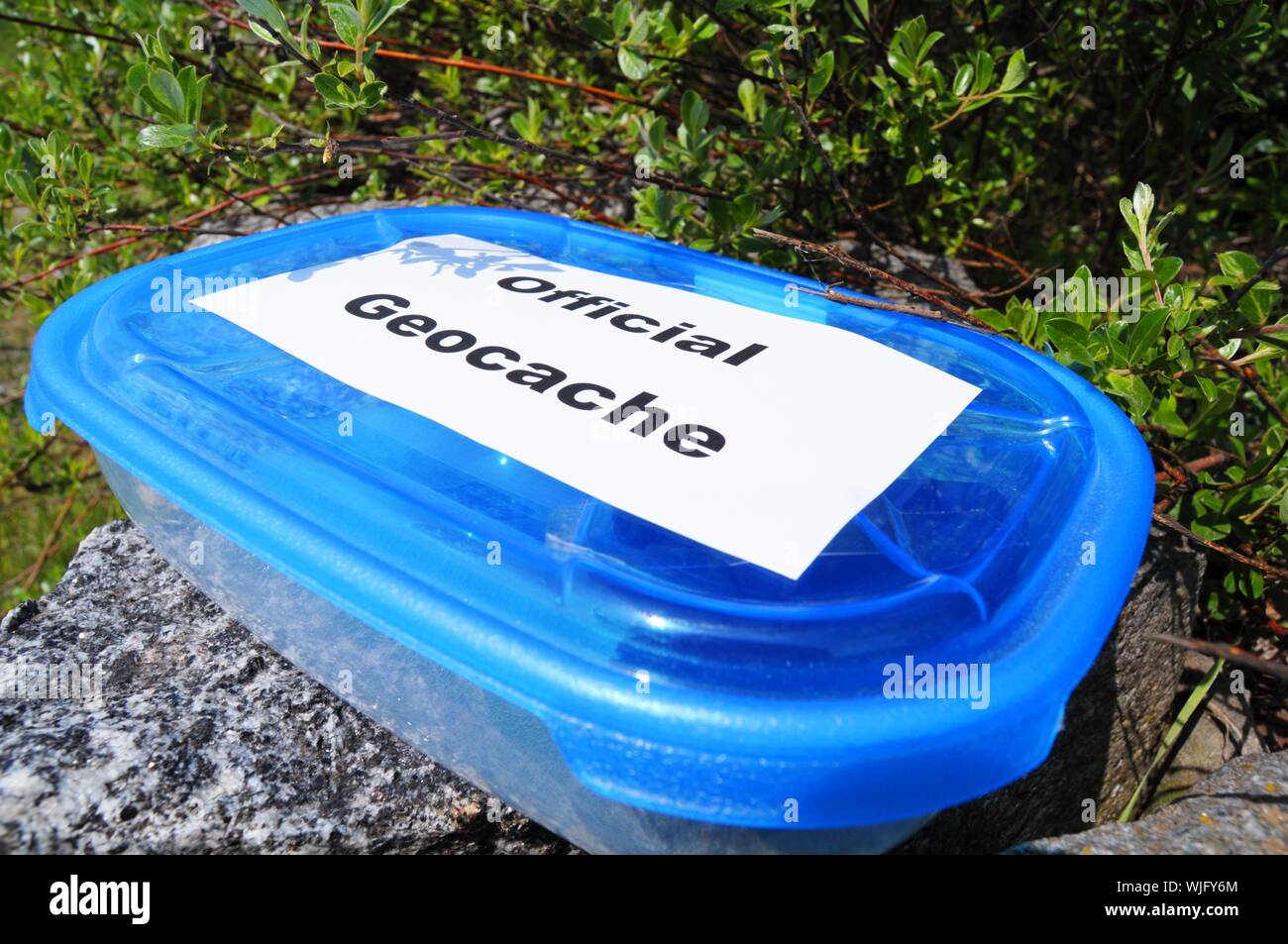 geocaching concept with cache box in nature Stock Photo - Alamy