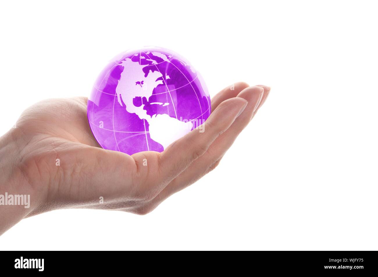 Web environment ecology fragile hi-res stock photography and images - Alamy