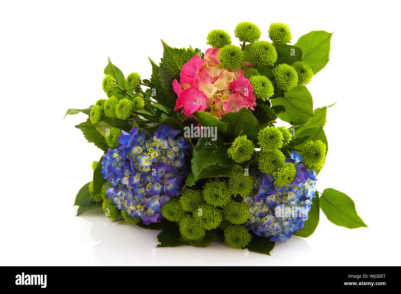 Flower bouquet with hydrangea and Chrysanthemum Stock Photo - Alamy