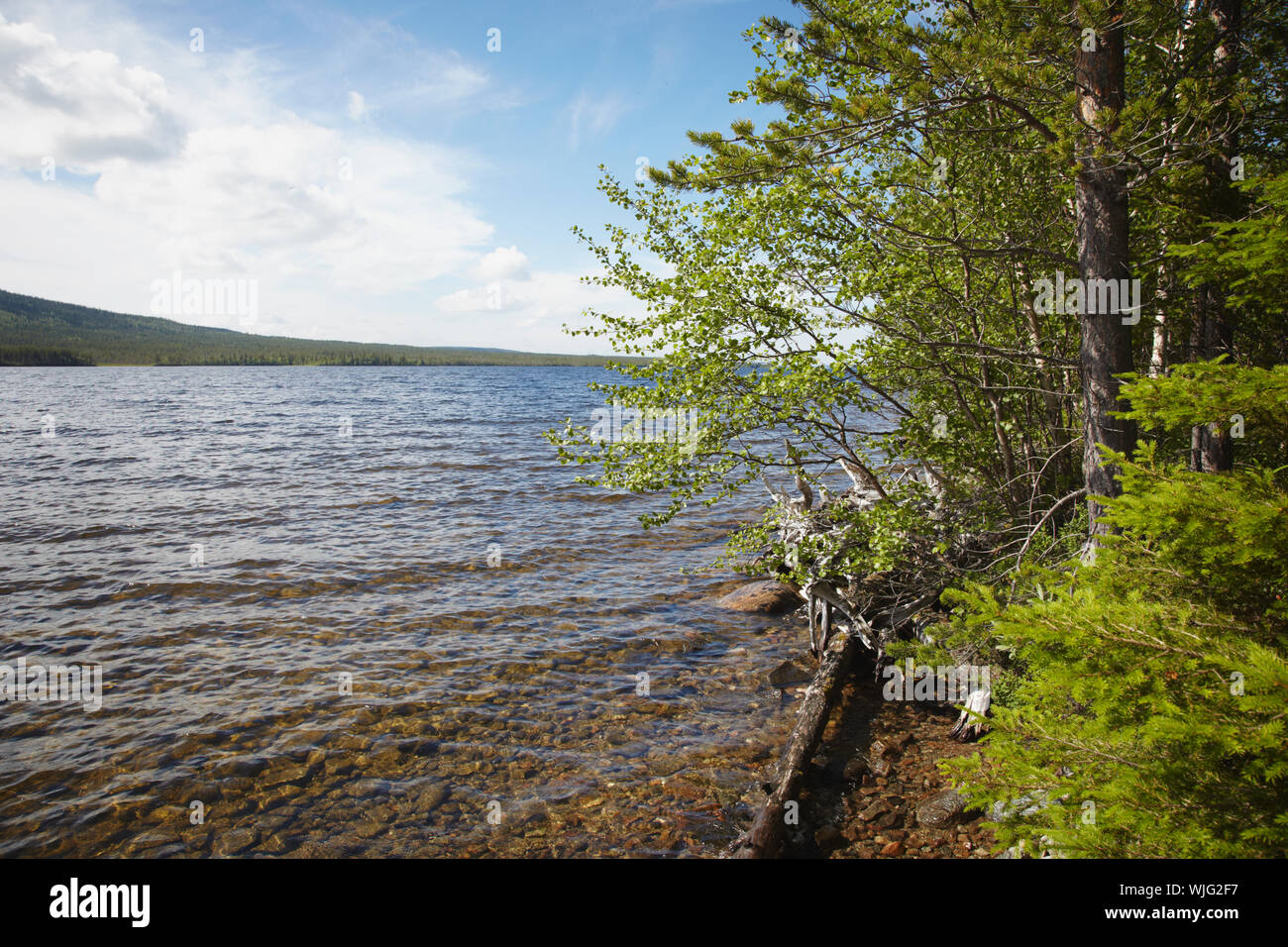 Beach of the northern lake - summer day Stock Photo - Alamy