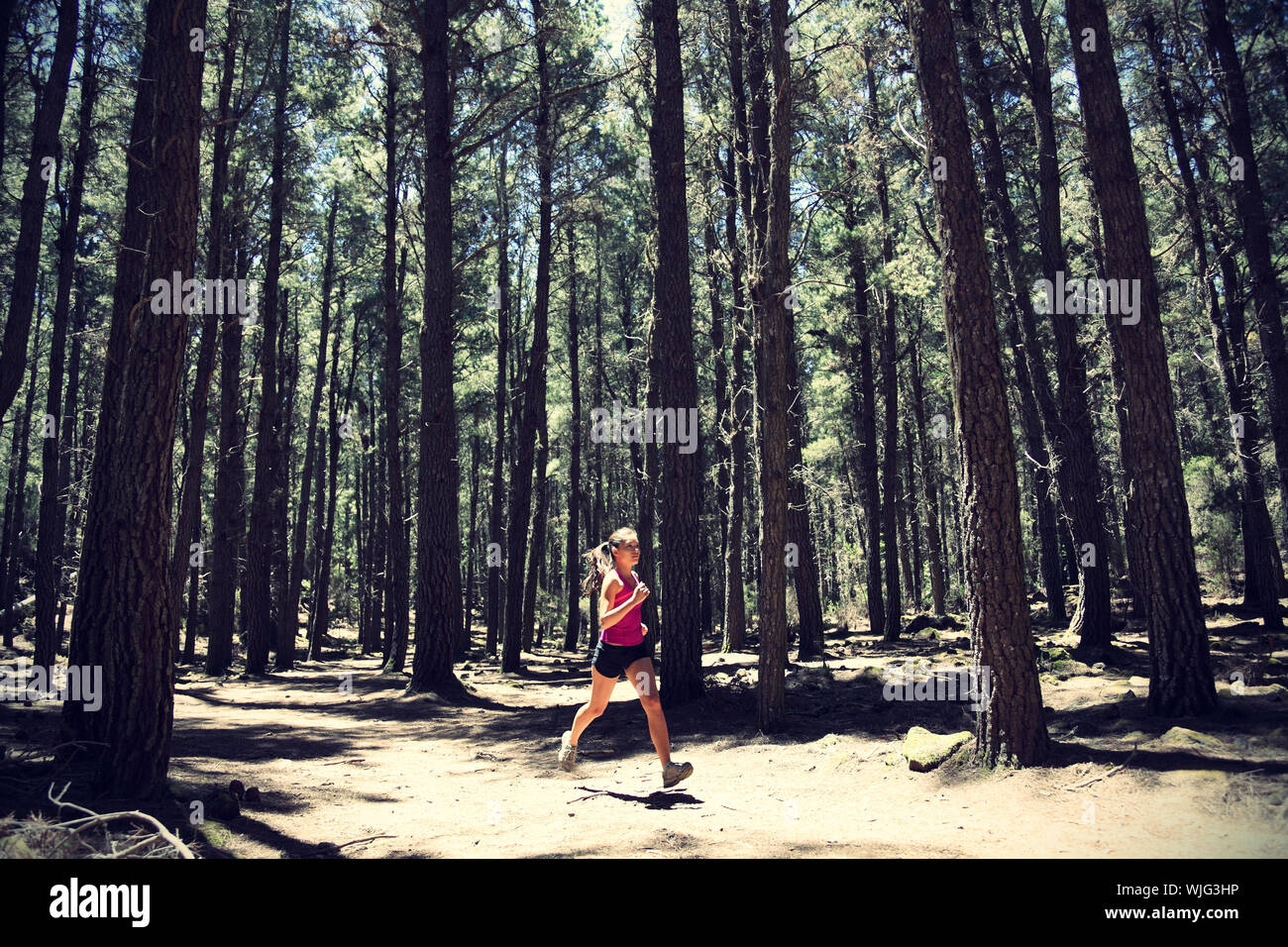 Running woman. Female runner running in forest. Beautiful Asian ...
