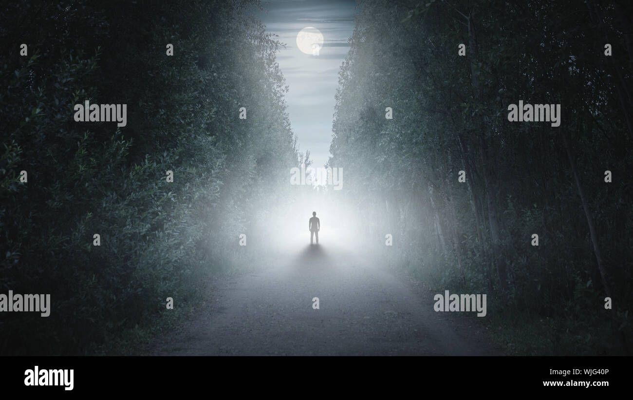 Strange walking alone in misty forest fairytale Stock Photo - Alamy
