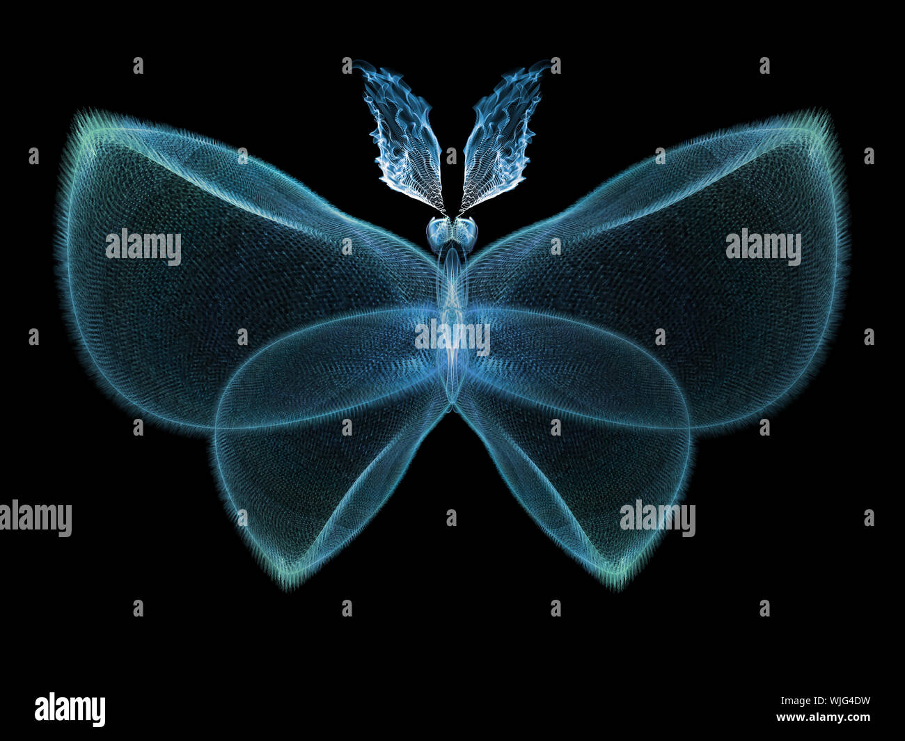 Never Were Butterflies series. Background design of isolated butterfly ...