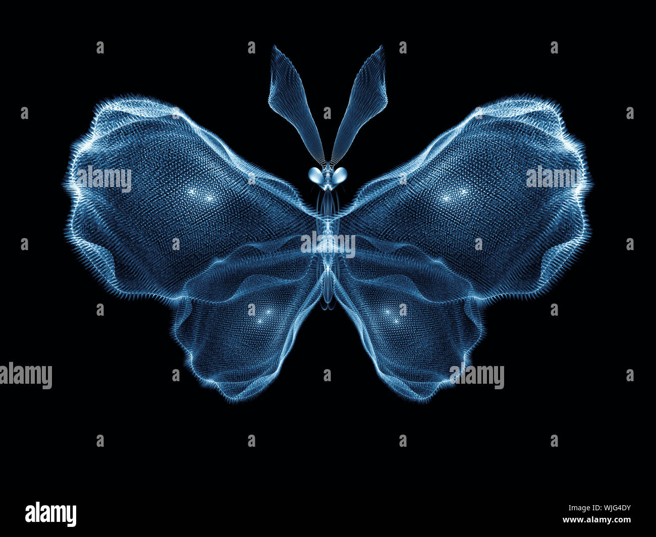 Never Were Butterflies series. Design composed of isolated butterfly ...