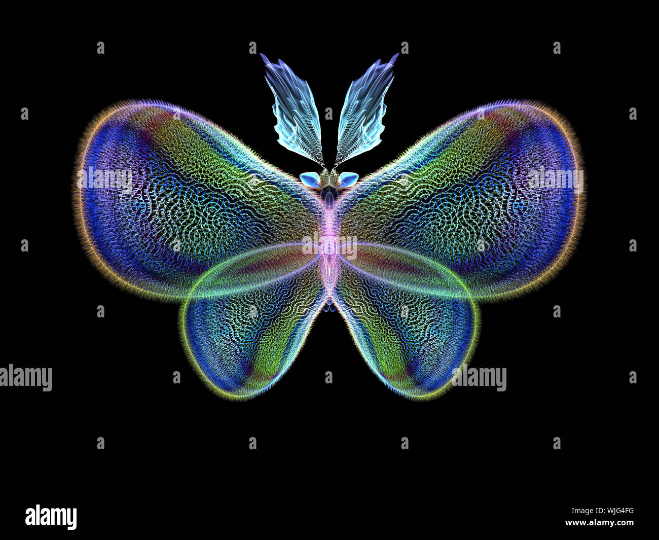 Never Were Butterflies series. Visually pleasing composition of ...