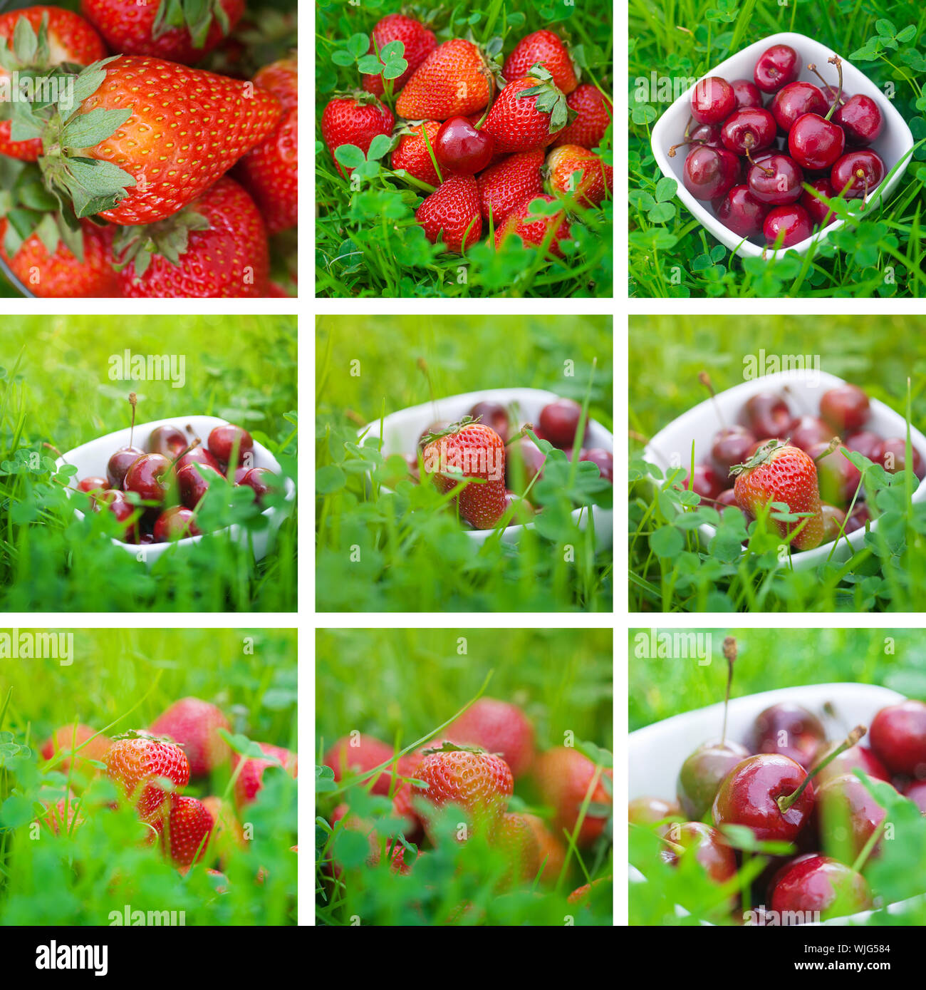 Collage of backgrounds with textures hi-res stock photography and ...