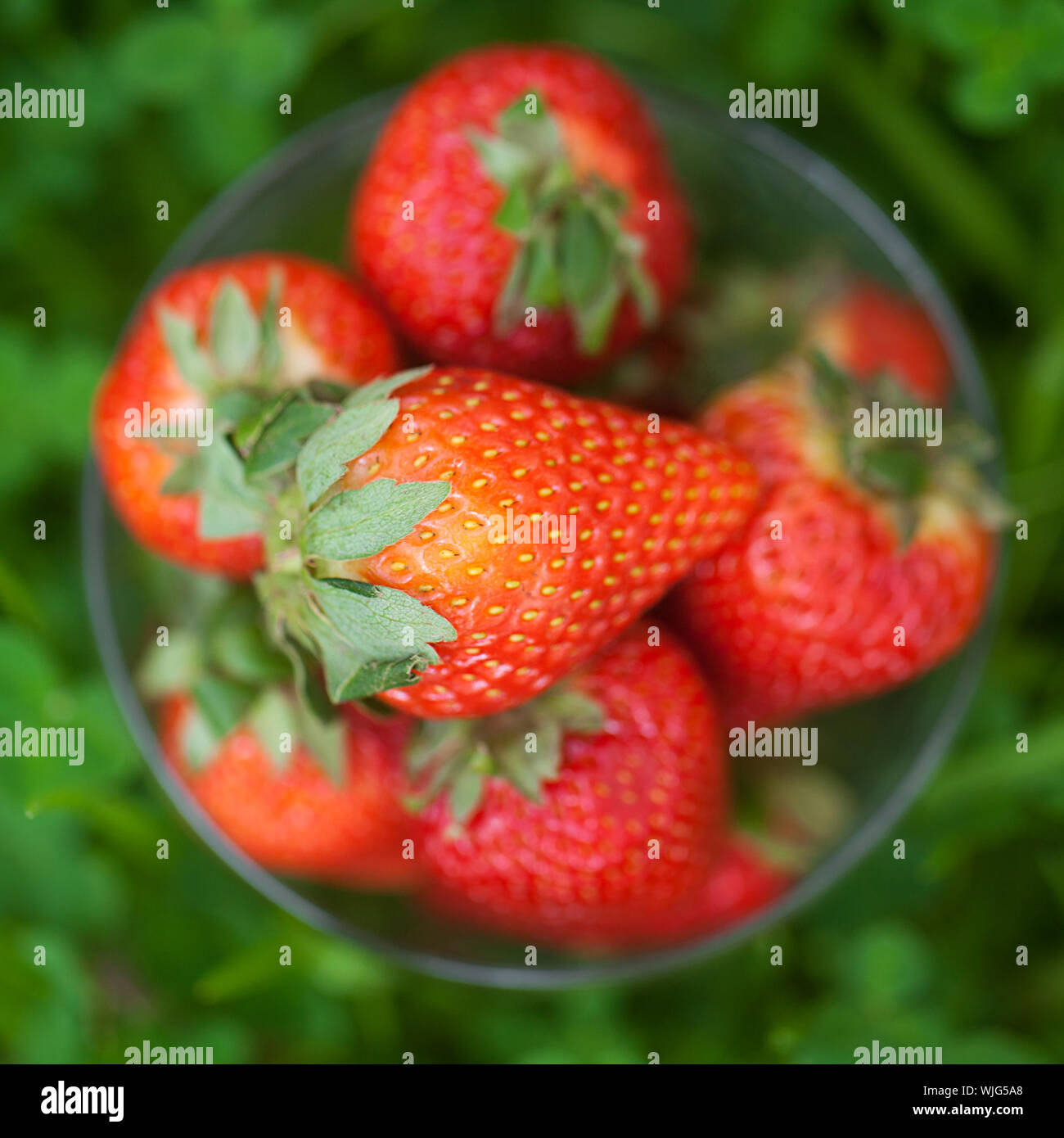 Full frame small strawberries hi-res stock photography and images - Alamy