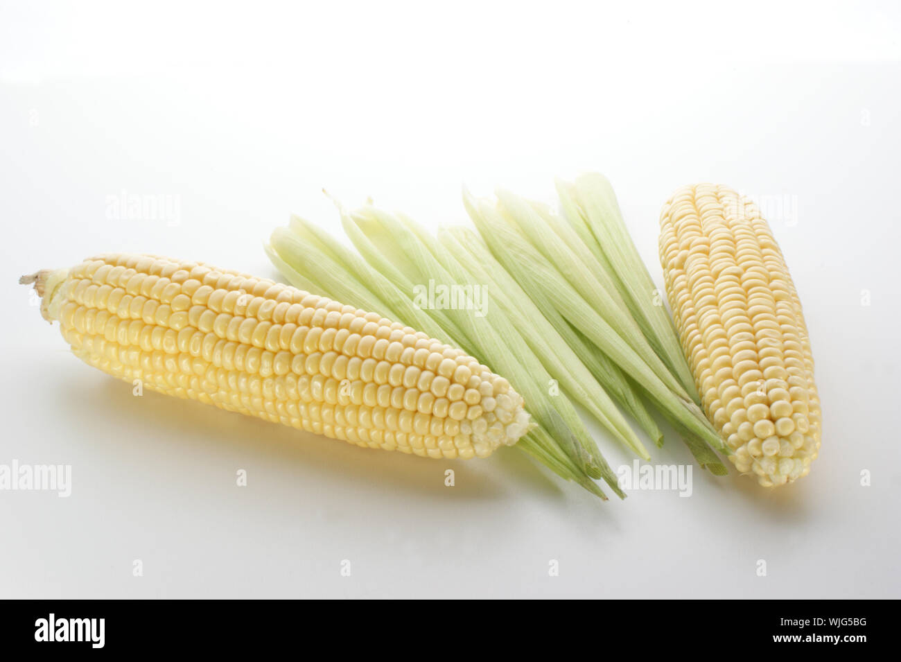 sweet corn fresh from the field into the kitchen Stock Photo - Alamy