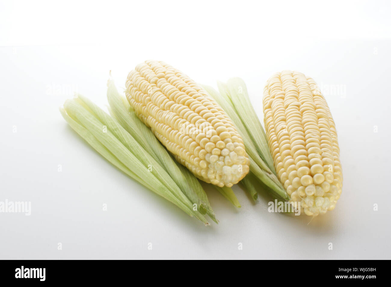 sweet corn fresh from the field into the kitchen Stock Photo - Alamy