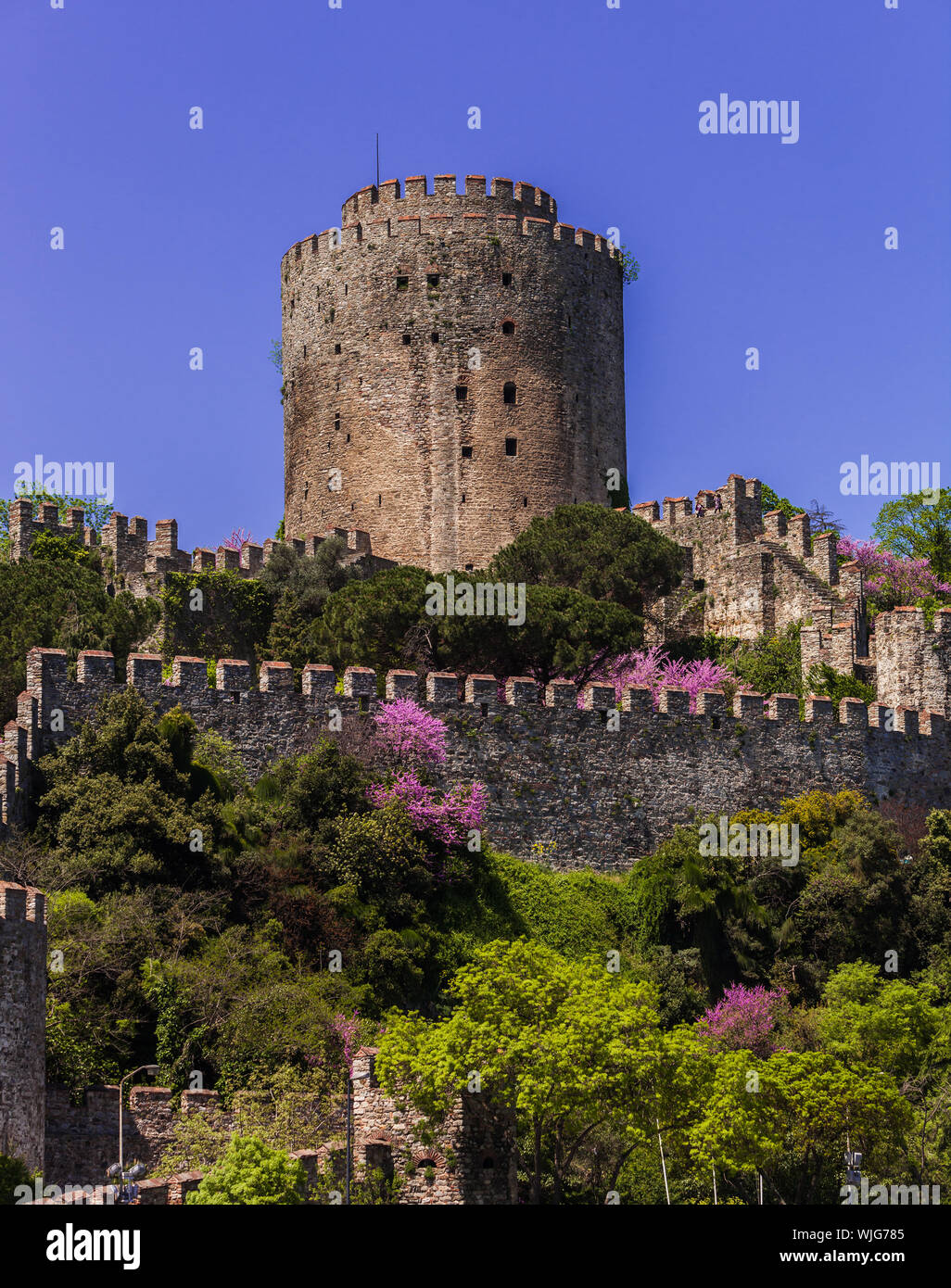 Rumelian Castle along the Bosphorus in istanbul Stock Photo - Alamy