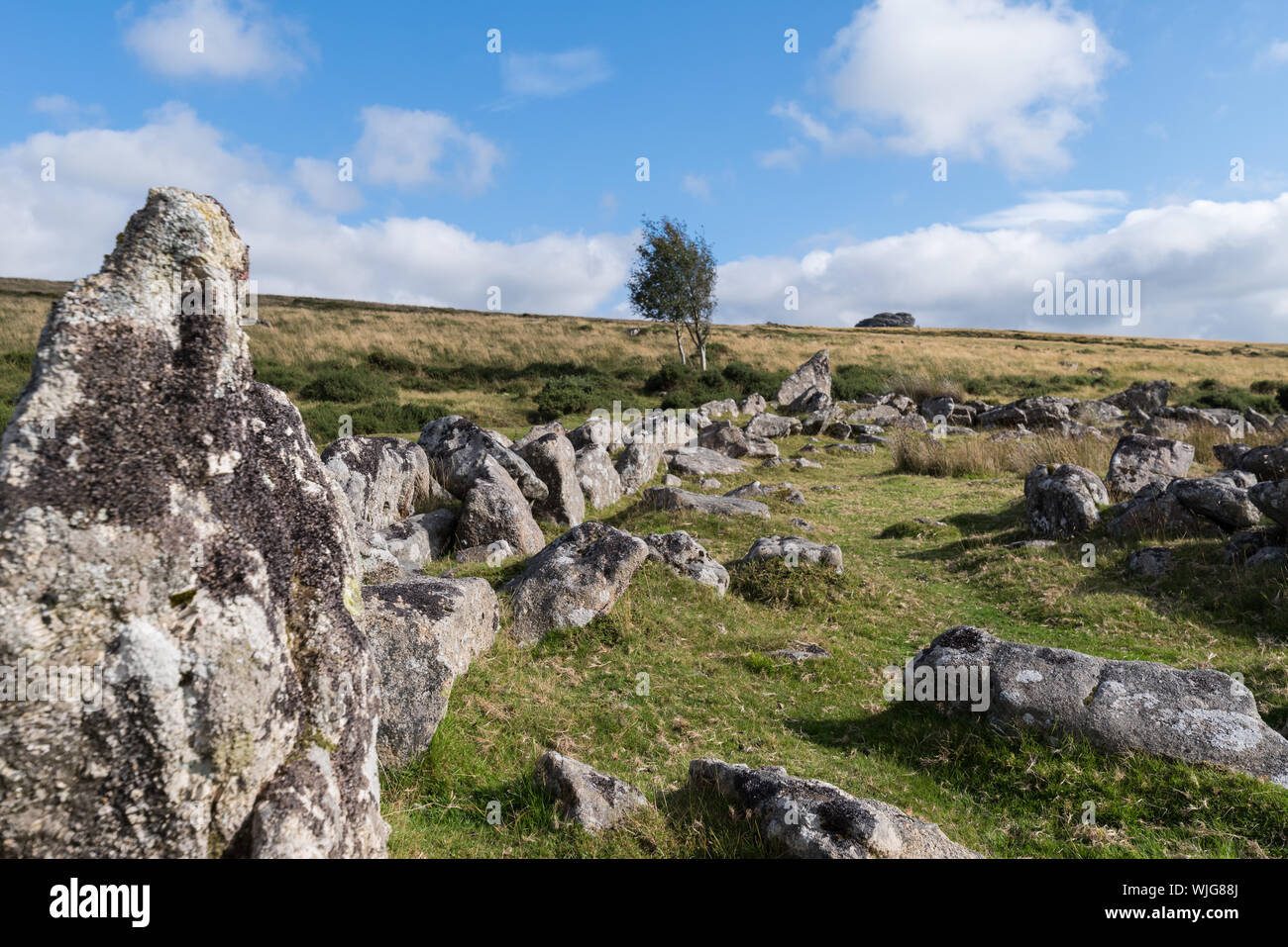 Round pound dartmoor hi-res stock photography and images - Alamy