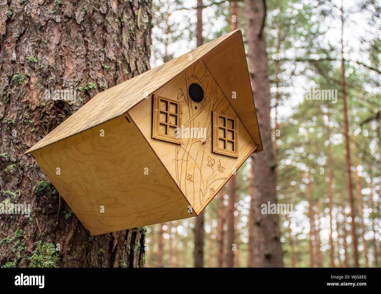 Beautiful wooden bird house hanging from a tree in a forest Stock Photo ...