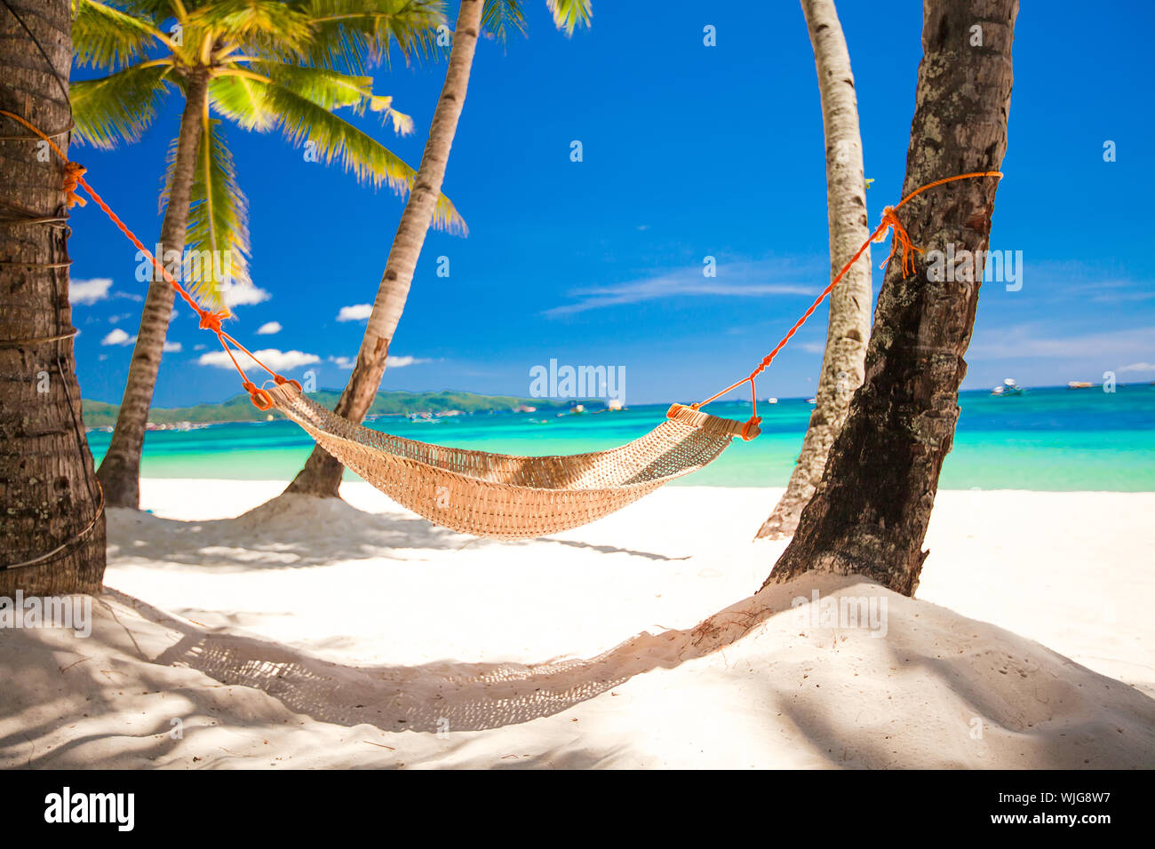Straw hammock in the shadow of palm on tropical beach by sea Stock ...