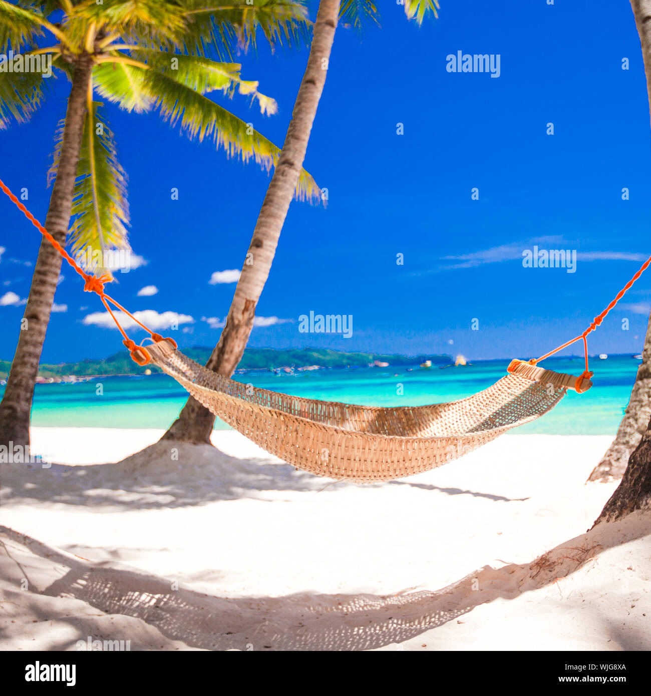 Straw hammock in the shadow of palm on tropical beach by sea Stock ...