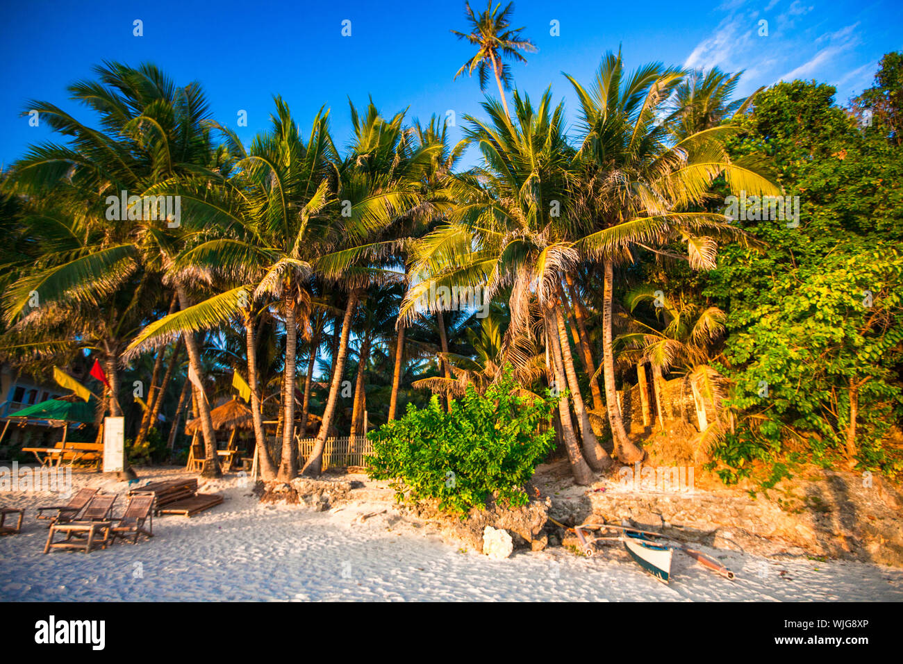 Tropical beach at sunset on an exotic island Stock Photo - Alamy