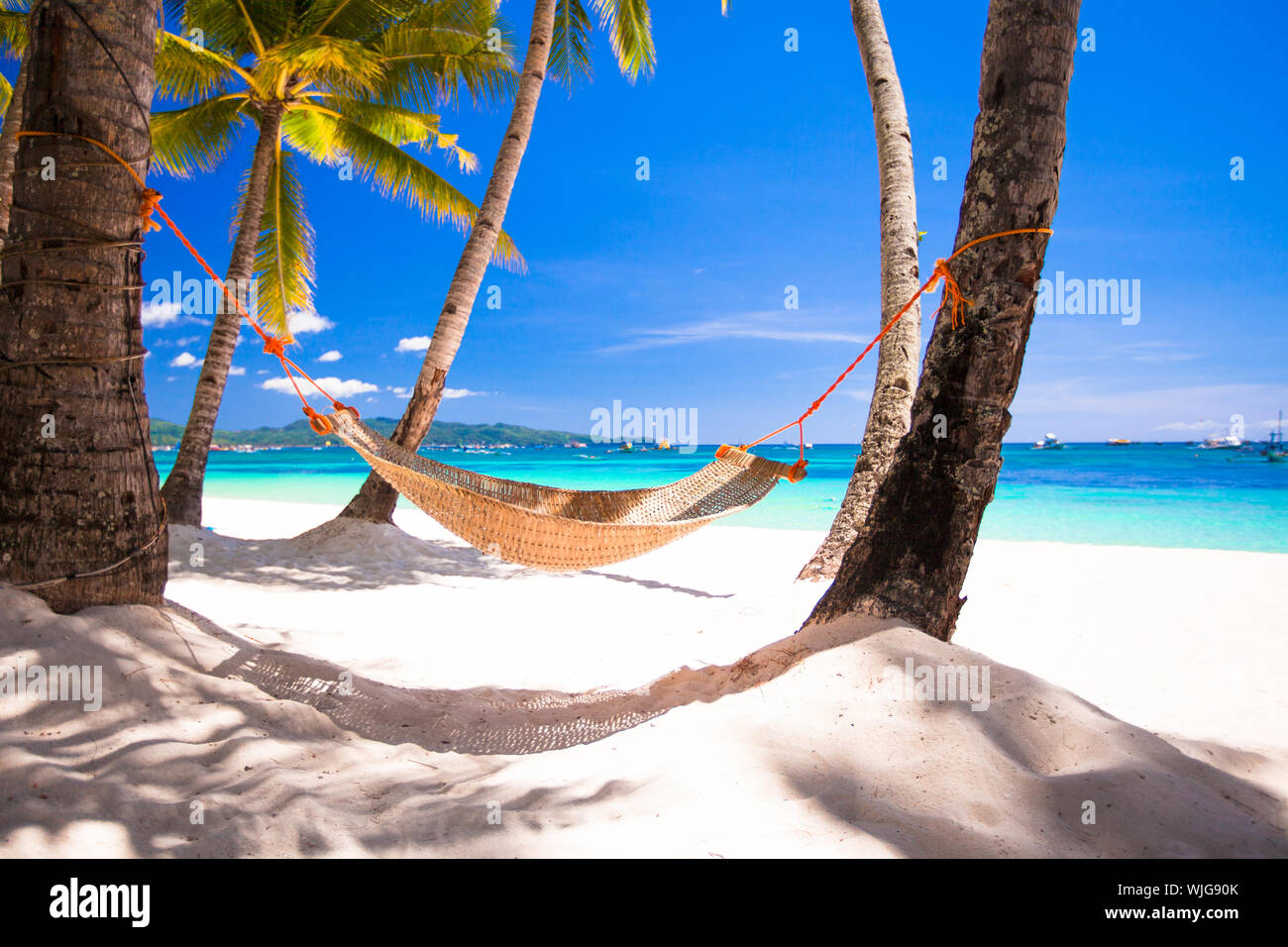 Straw hammock in the shadow of palm on tropical beach by sea Stock ...