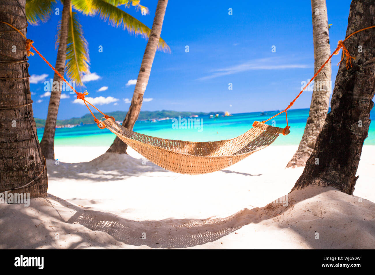 Straw hammock in the shadow of palm on tropical beach by sea Stock ...