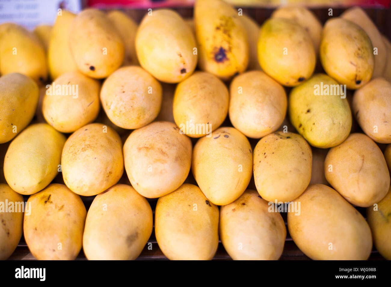 Yellow Mango in the local market on Boracay Stock Photo - Alamy