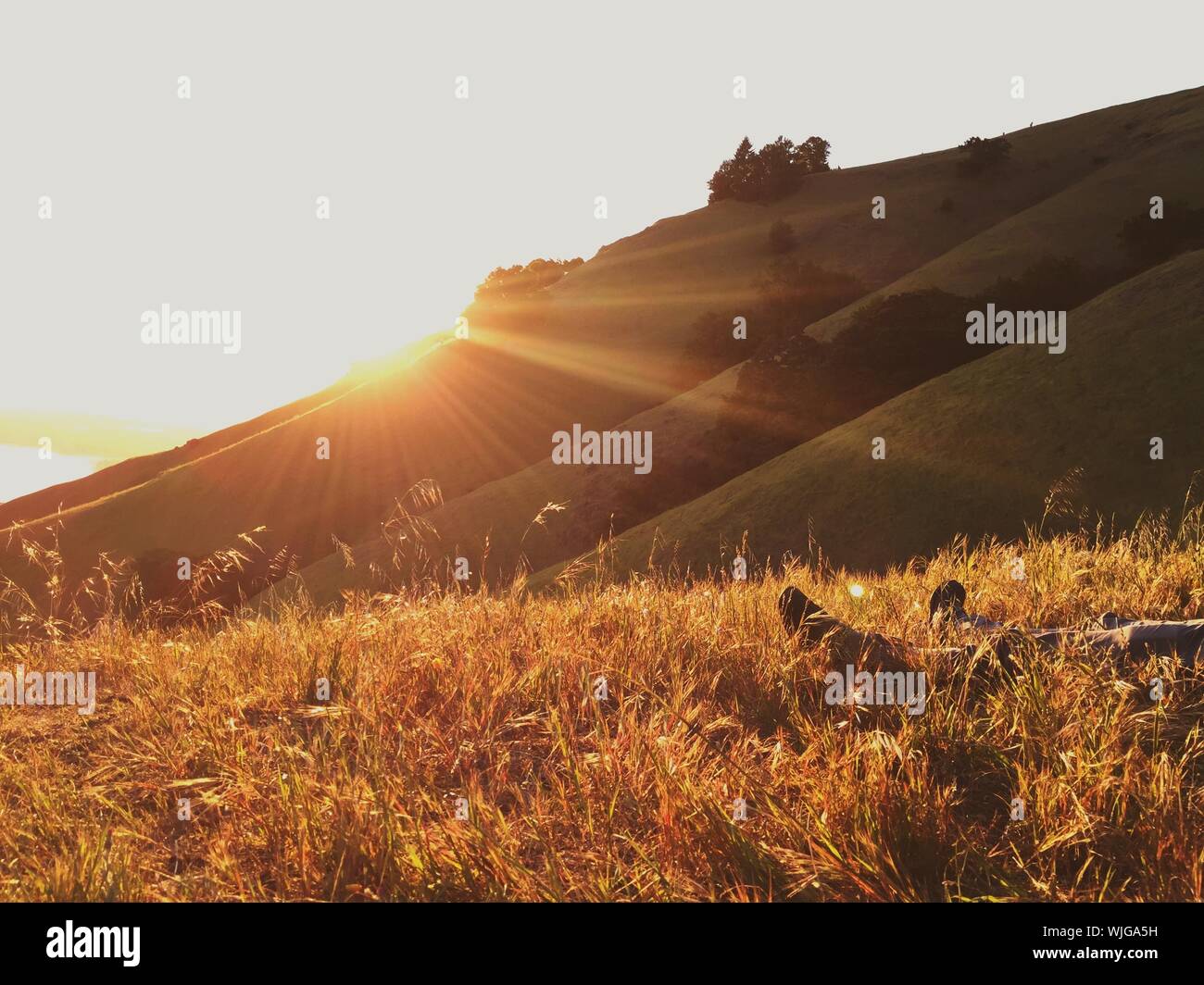 Moment sunset hi-res stock photography and images - Alamy