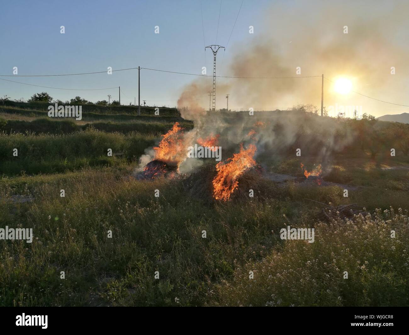 Grass burning hi-res stock photography and images - Alamy