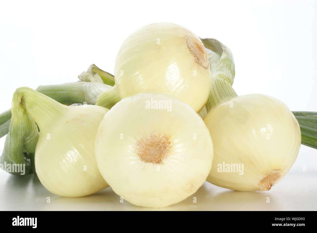 some withe onions and a white background Stock Photo - Alamy