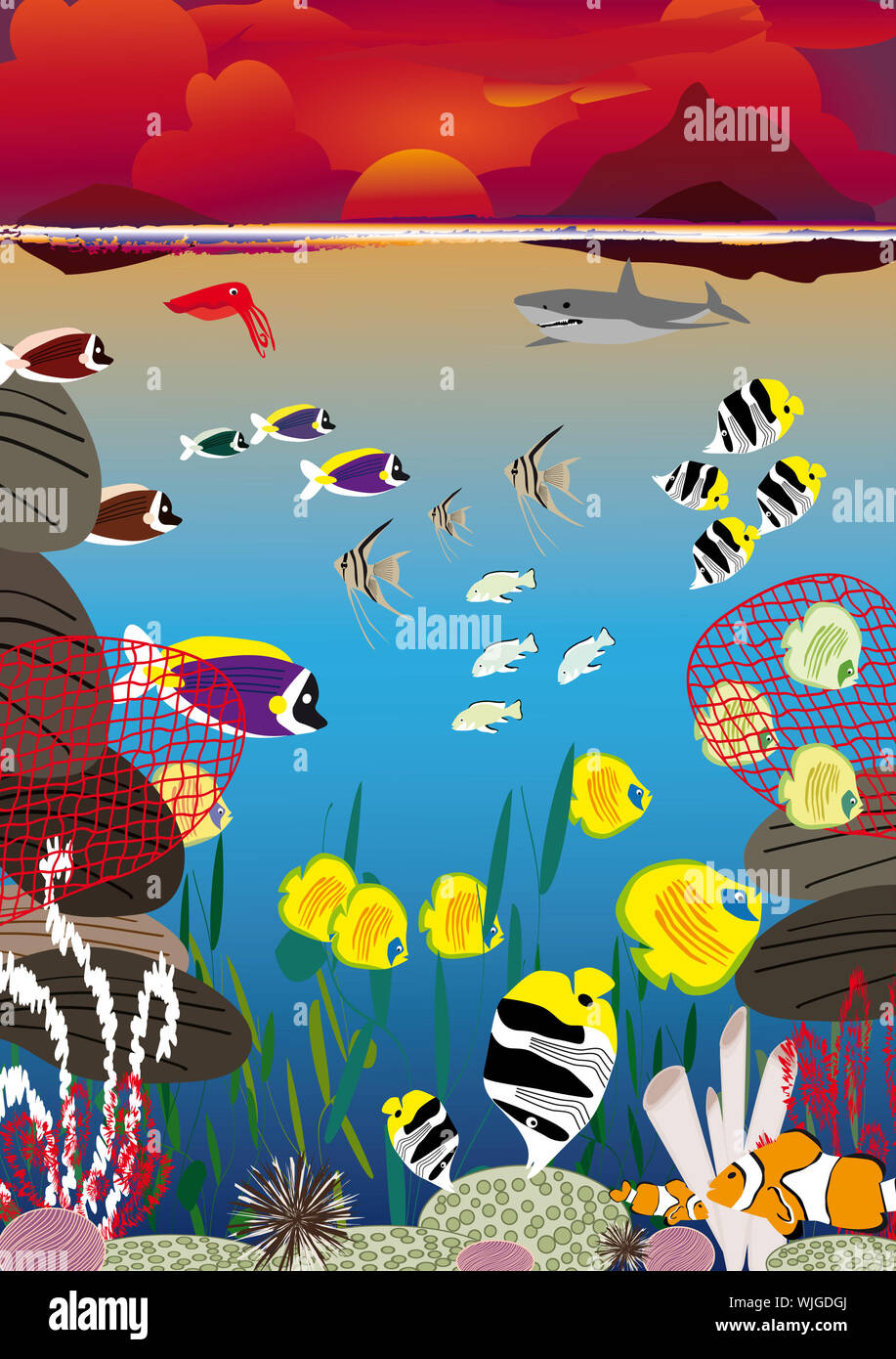 several fish swimming between coral reef at sunset Stock Photo - Alamy