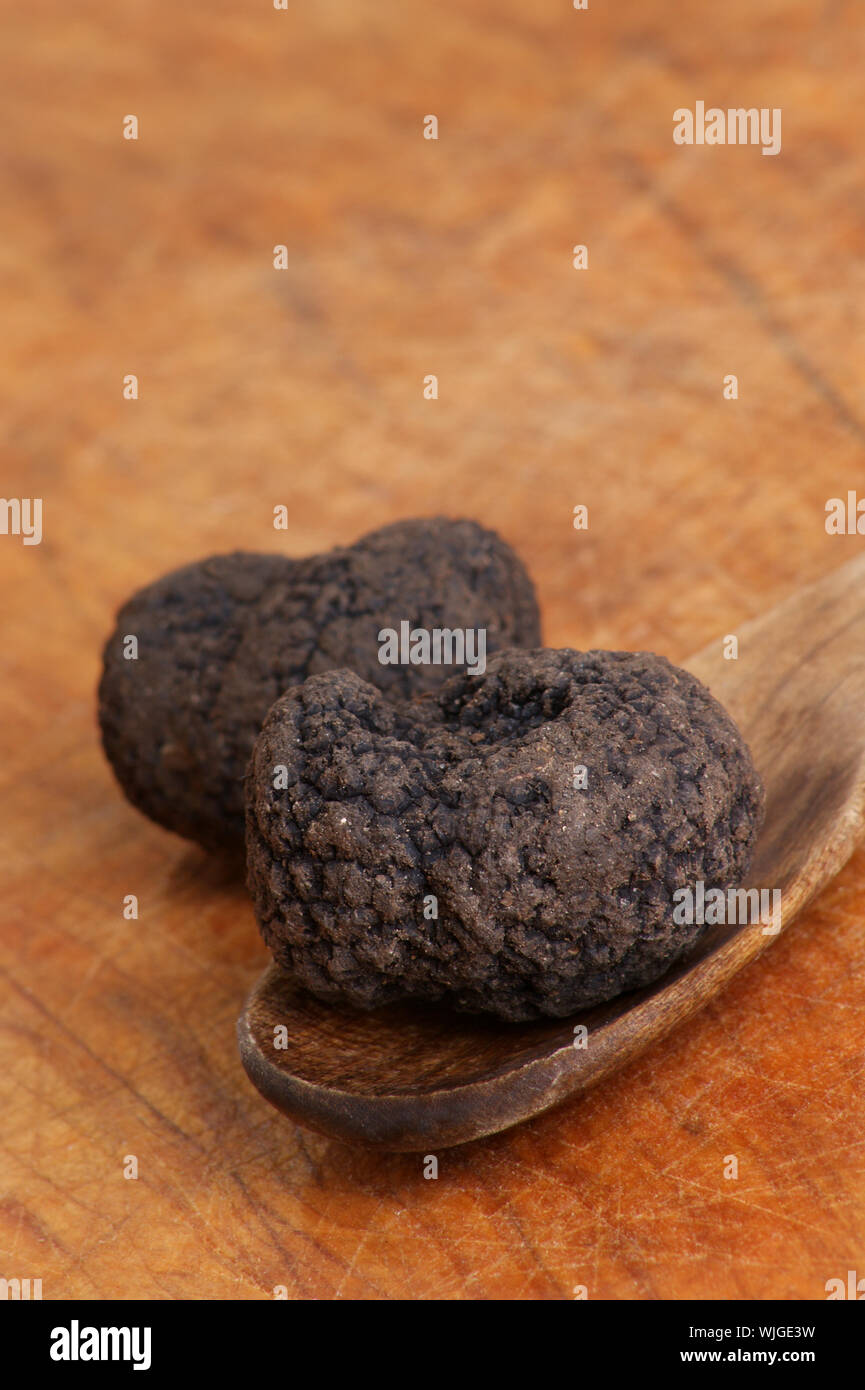 some organic summer truffle on a timber spoon Stock Photo - Alamy