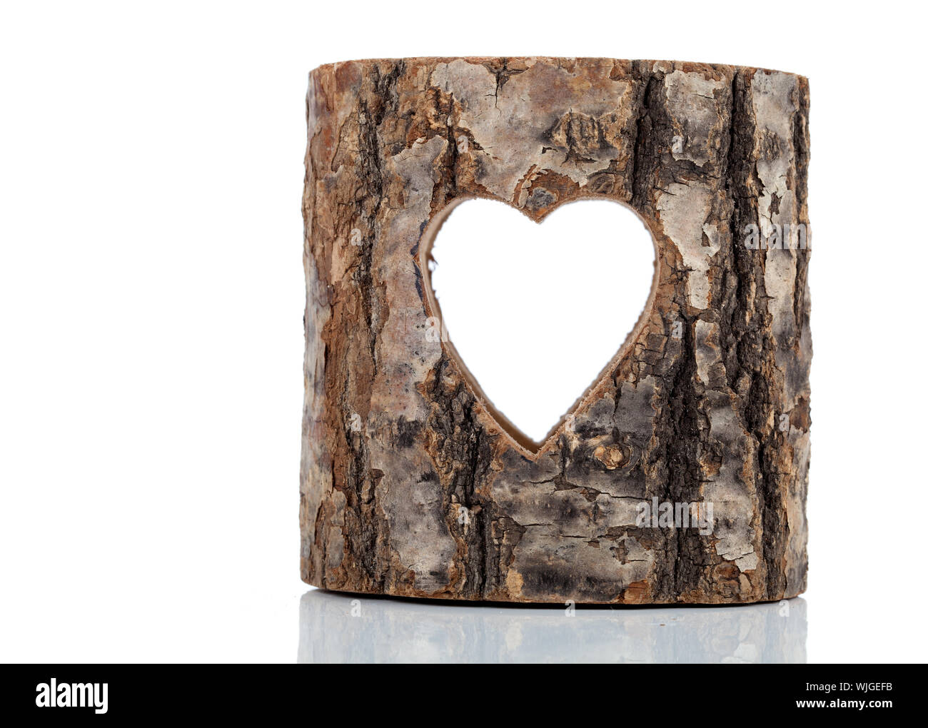 heart cut in hollow tree trunk. on white background Stock Photo - Alamy