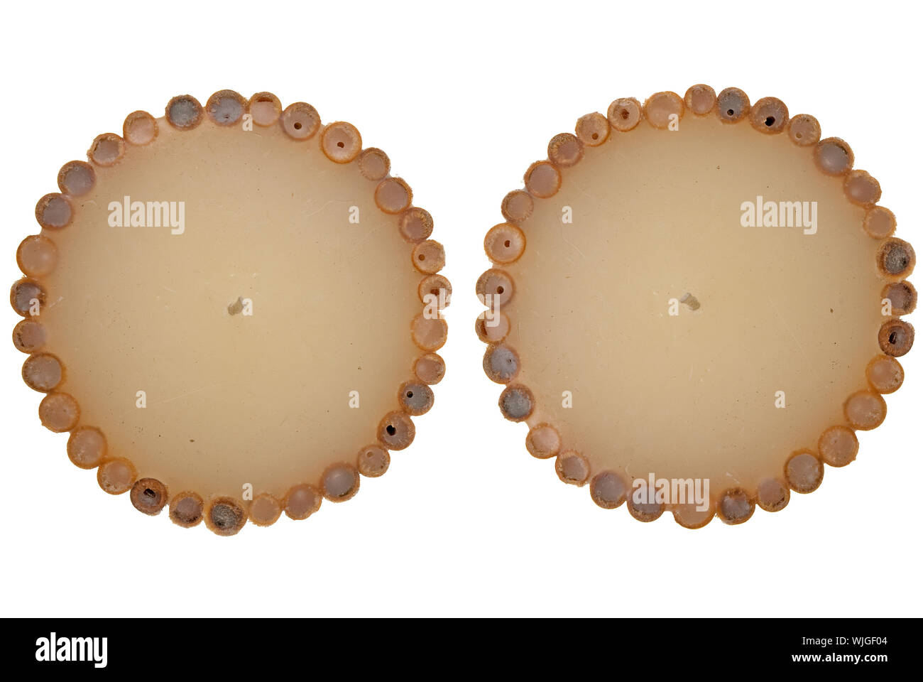 Candlestick base decorated hi-res stock photography and images - Alamy