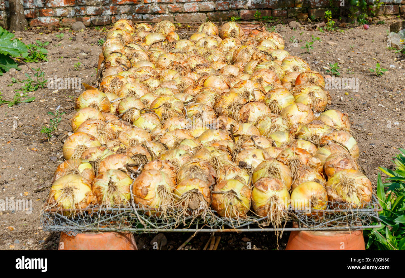 Wire tray hi-res stock photography and images - Alamy