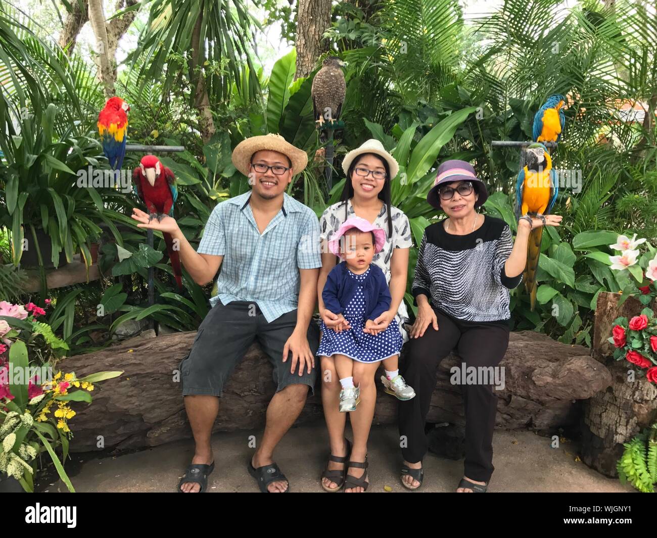 Family of birds hi-res stock photography and images - Alamy