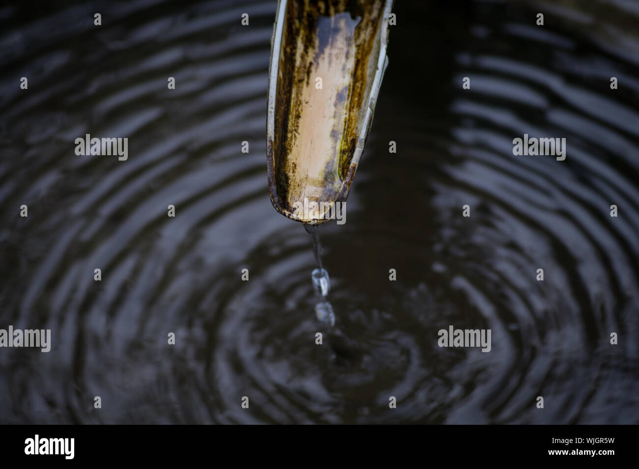 Drops Dripping High Resolution Stock Photography and Images - Alamy