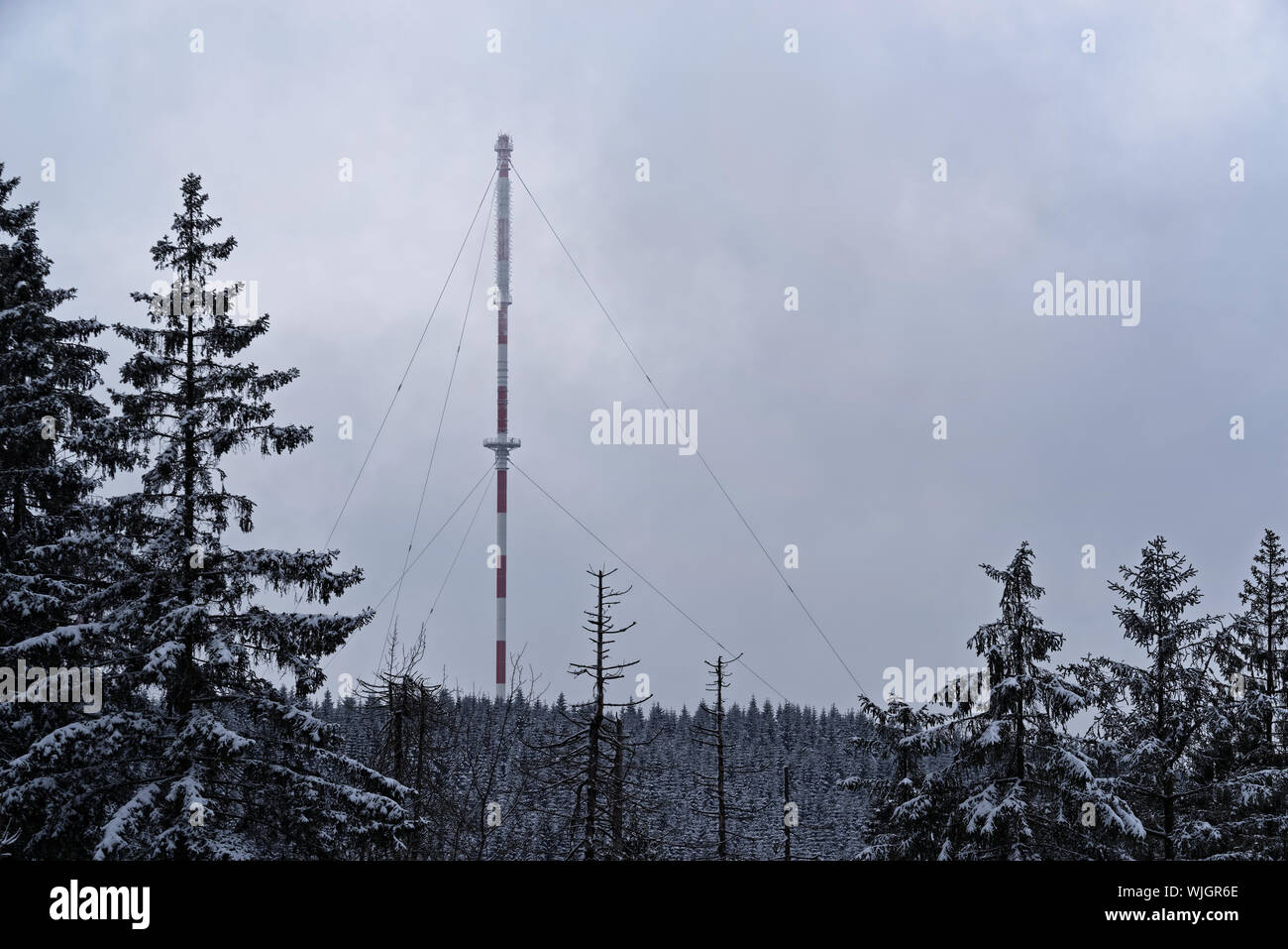 The nature of communication hi-res stock photography and images - Alamy