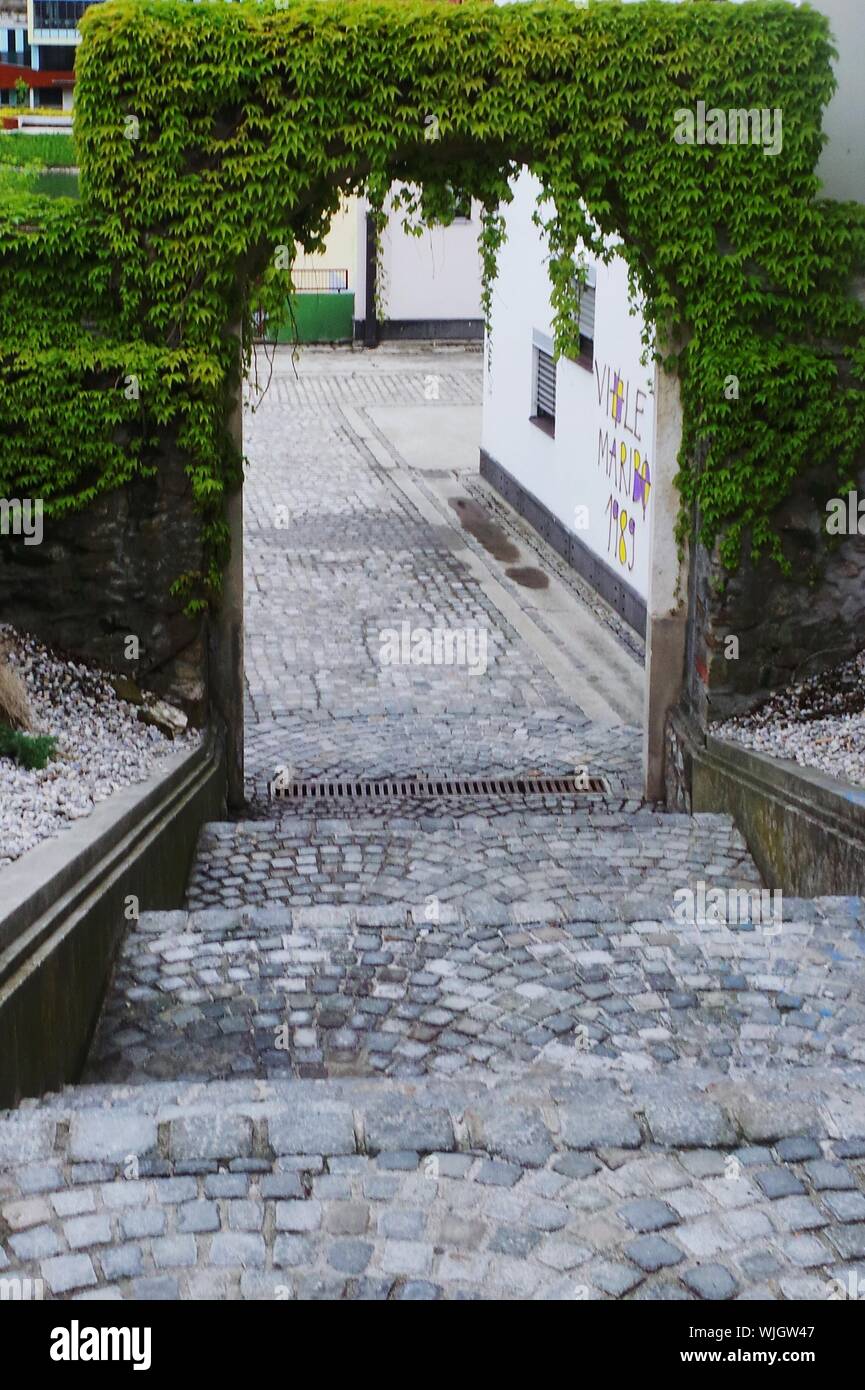 Formal garden steps hi-res stock photography and images - Alamy