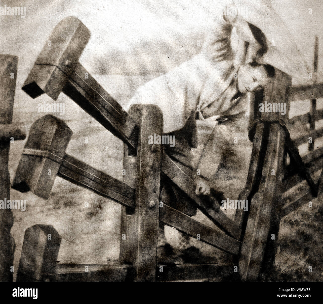 Pushed down fence hi-res stock photography and images - Alamy