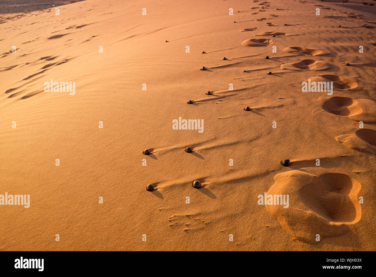 Sand structures hi-res stock photography and images - Alamy