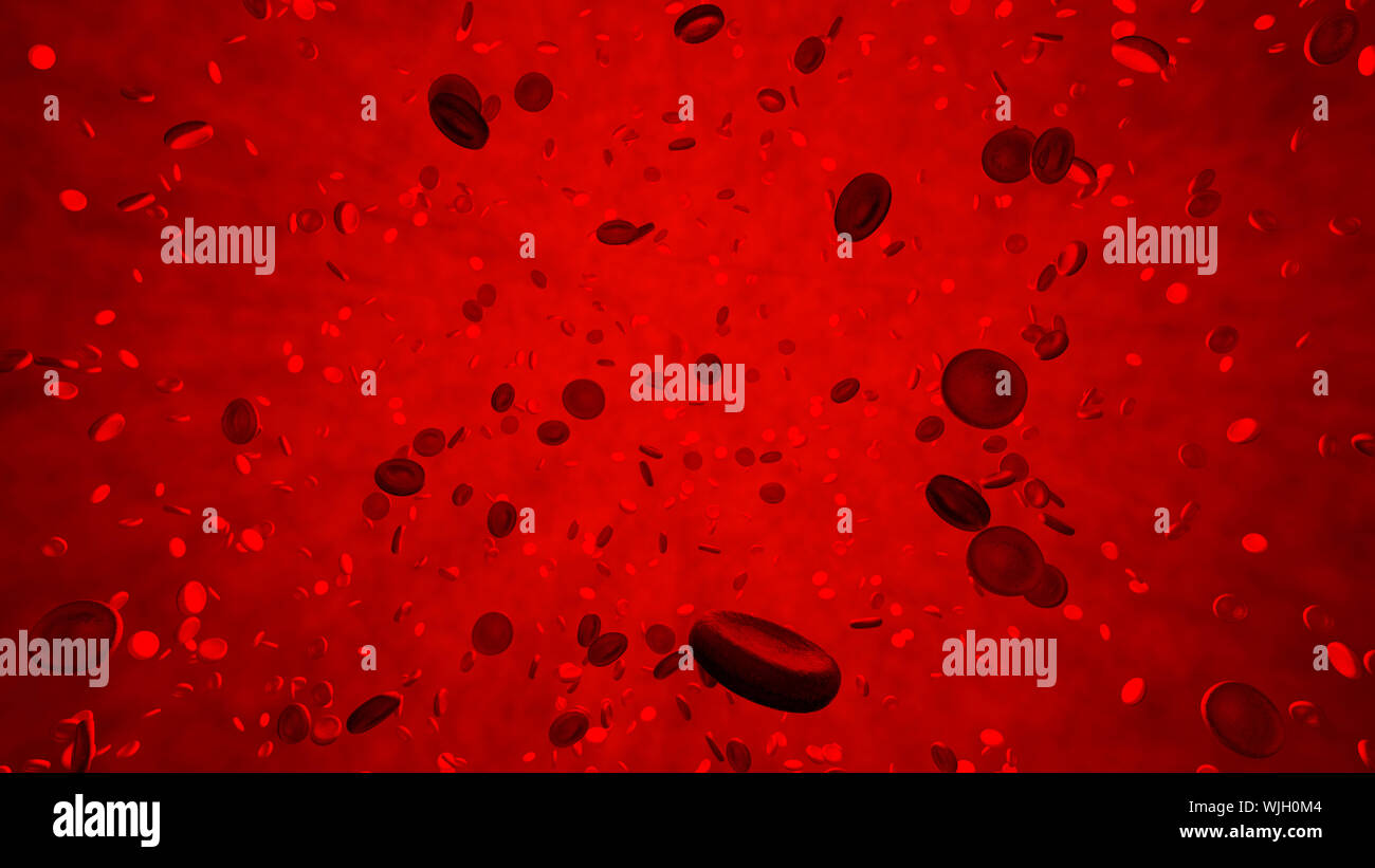 3D rendered Illustration of blood cells in the human body Stock Photo ...