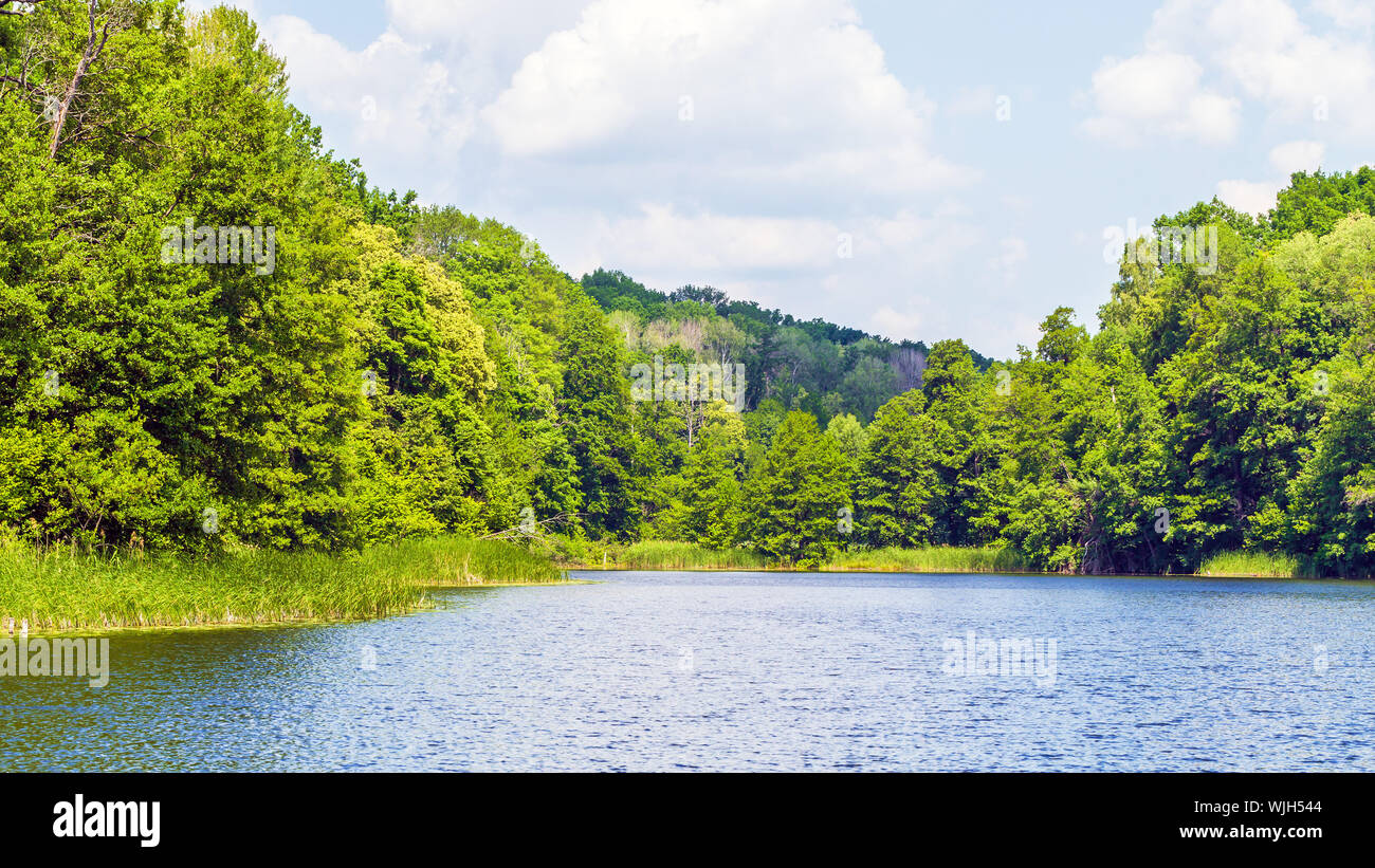 Nature landscape with forest lake Stock Photo - Alamy