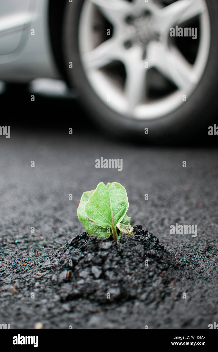 Tar road hi-res stock photography and images - Alamy