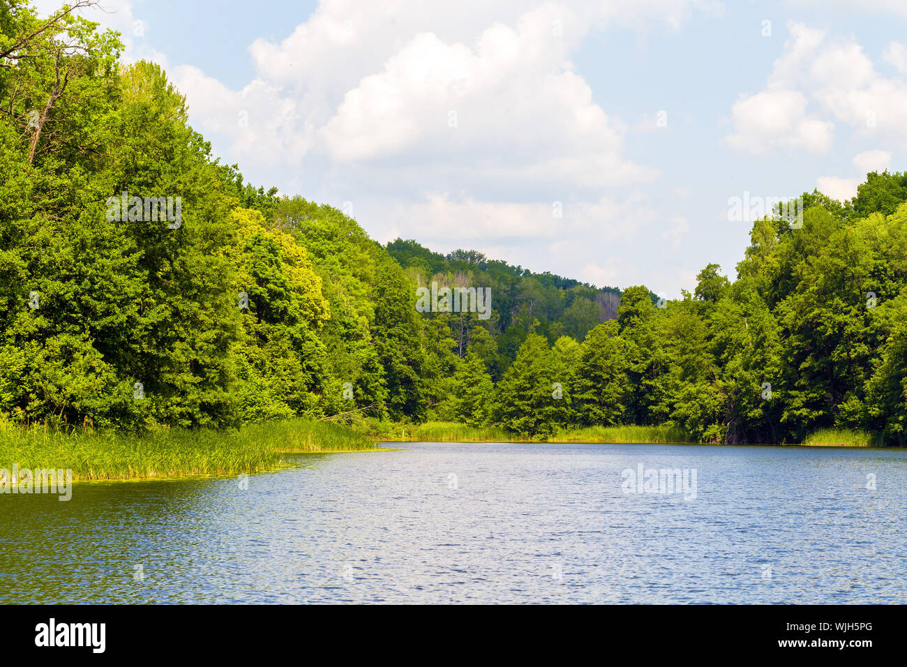 Landscape with lake and woods Stock Photo - Alamy