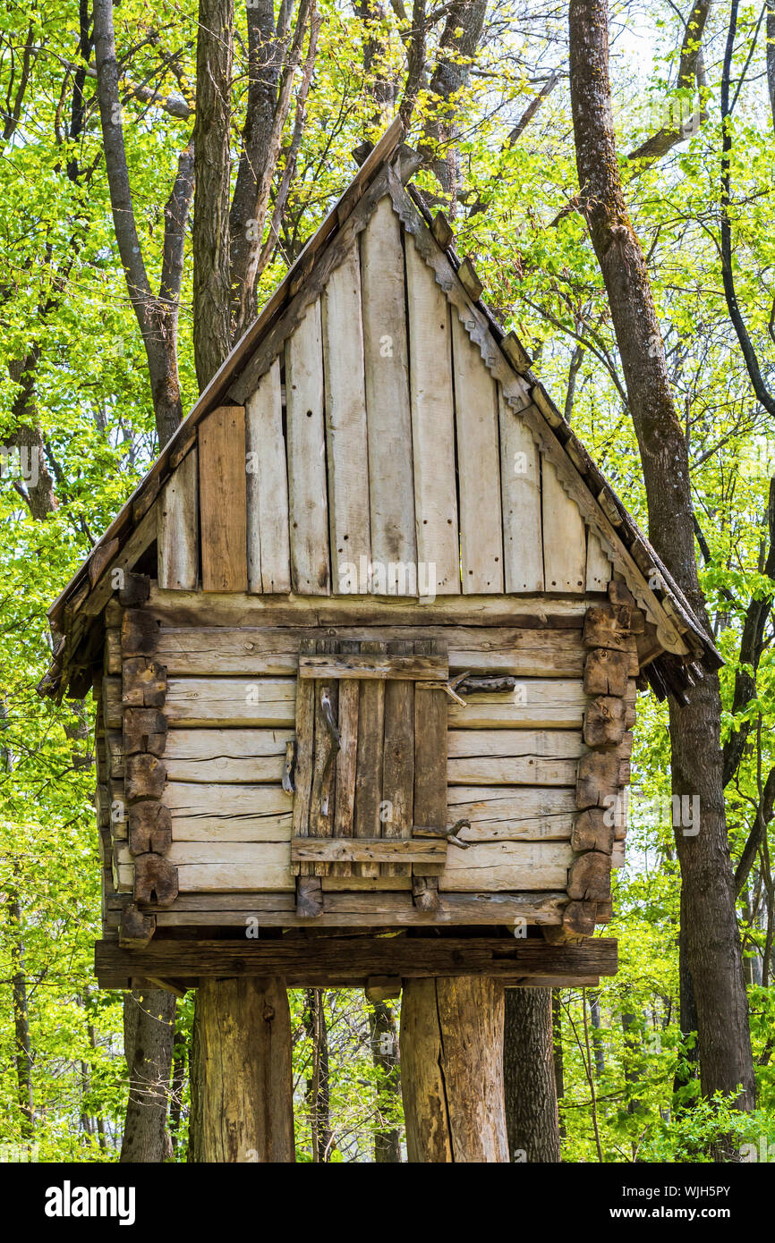 Landscape with forest wooden hut Stock Photo - Alamy