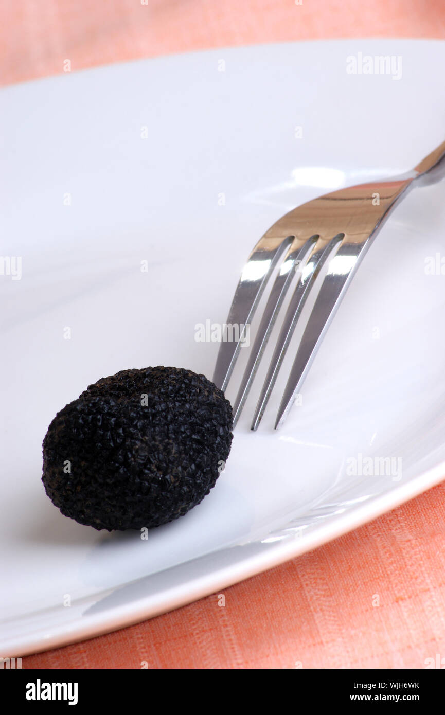 Summer truffle on a plate hi-res stock photography and images - Alamy