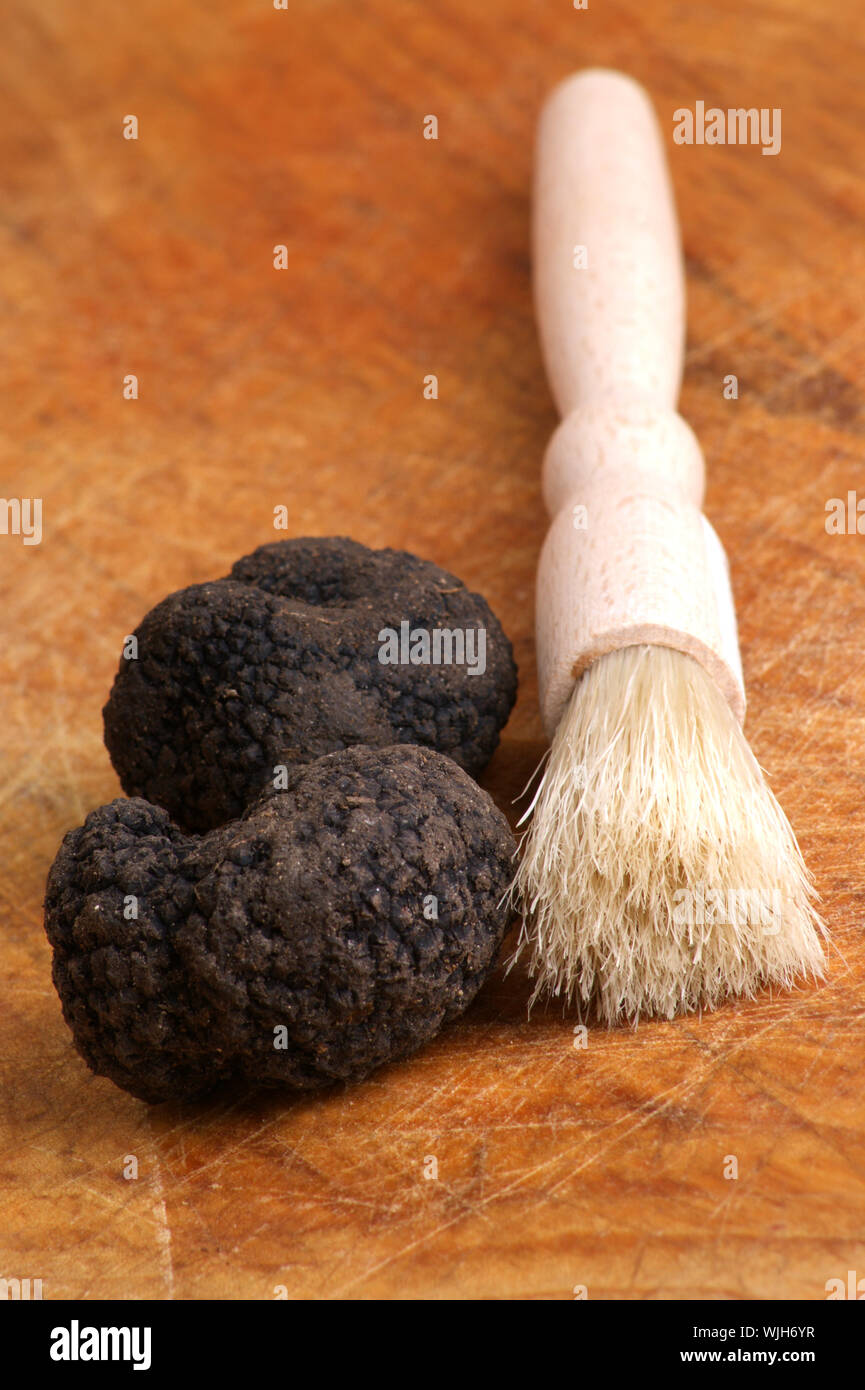 organic summer truffle and a brush to clean Stock Photo - Alamy