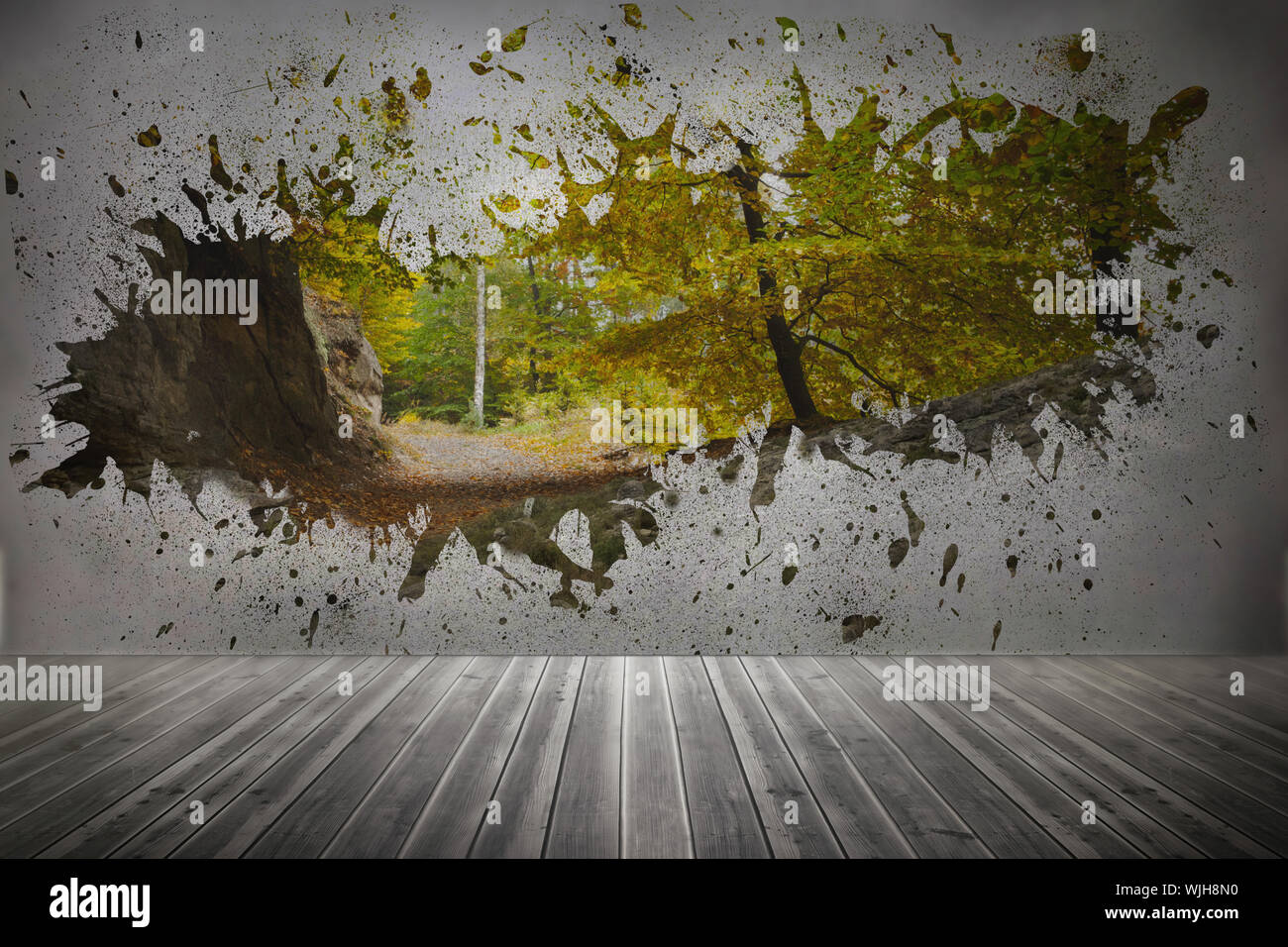 Splash on wall revealing Stock Photo - Alamy