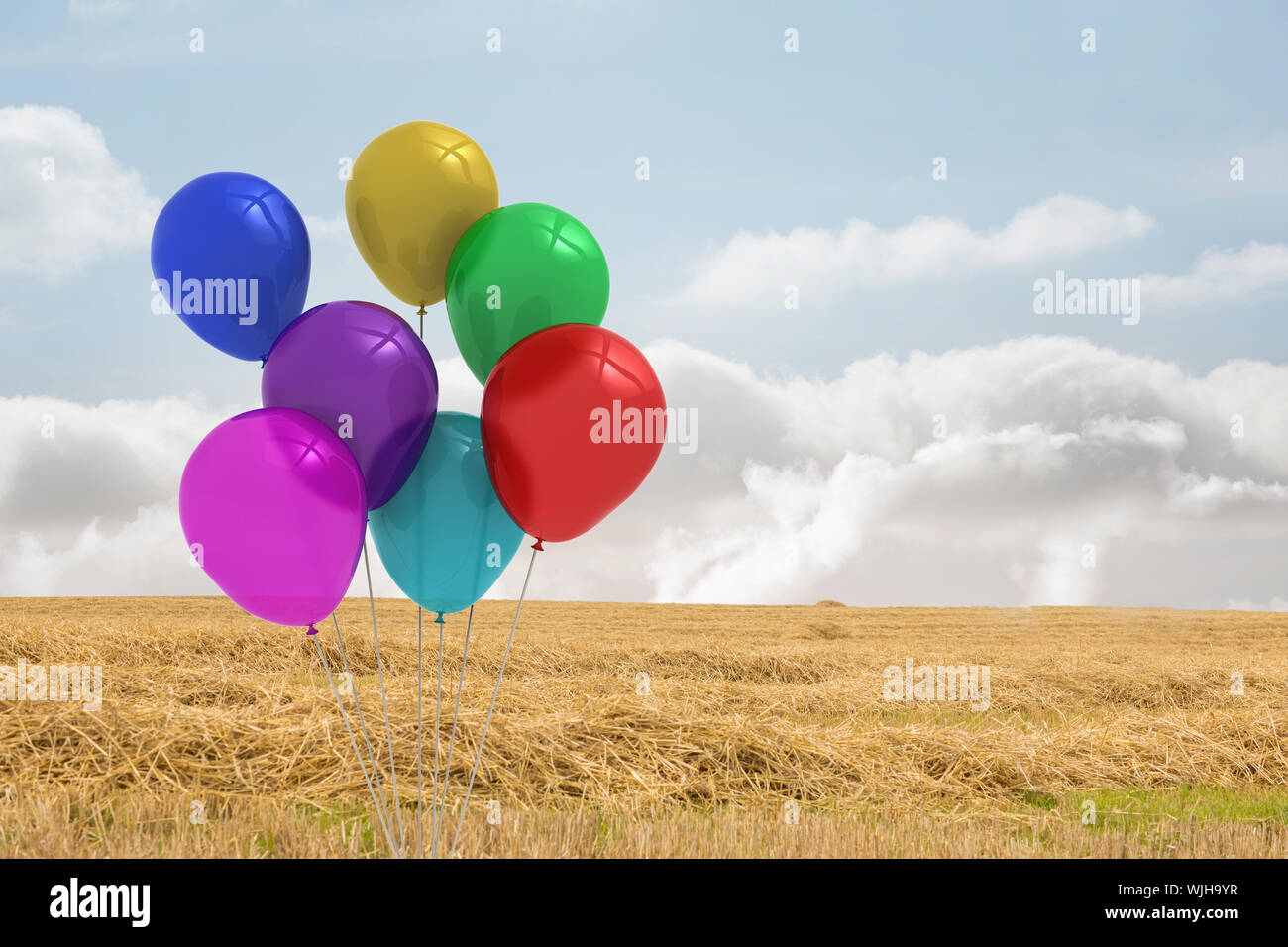 Balloons above a field Stock Photo - Alamy
