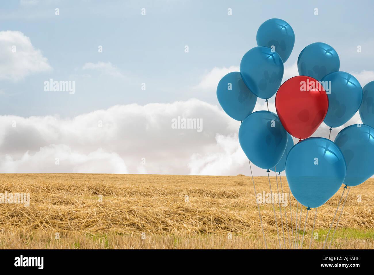 Balloons above a field Stock Photo - Alamy