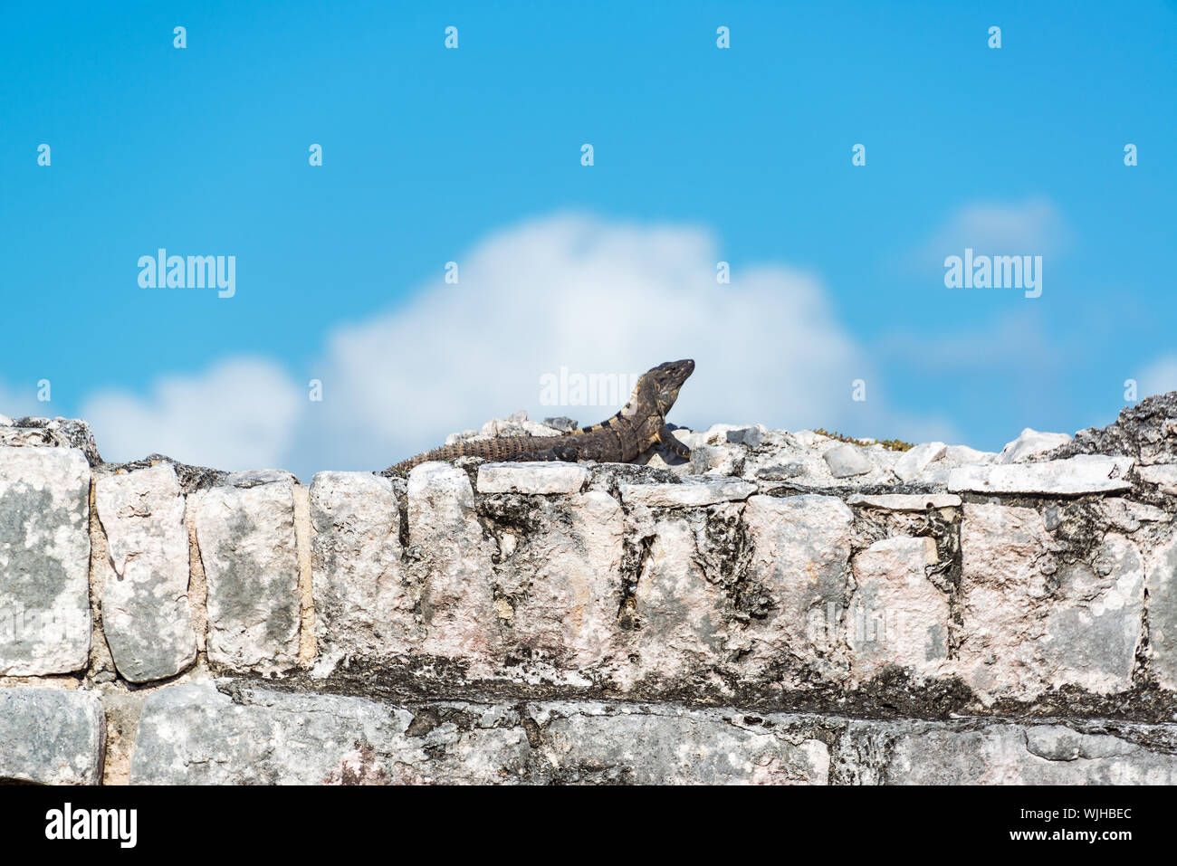 Ancient retaining wall hi-res stock photography and images - Alamy