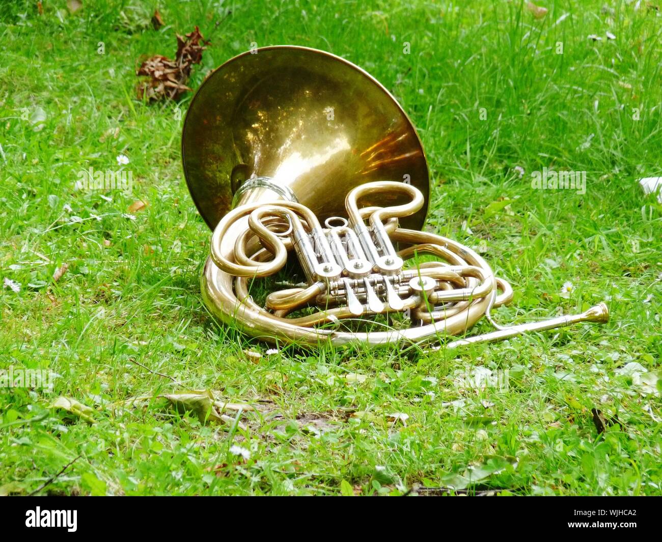 Horn angle hi-res stock photography and images - Alamy