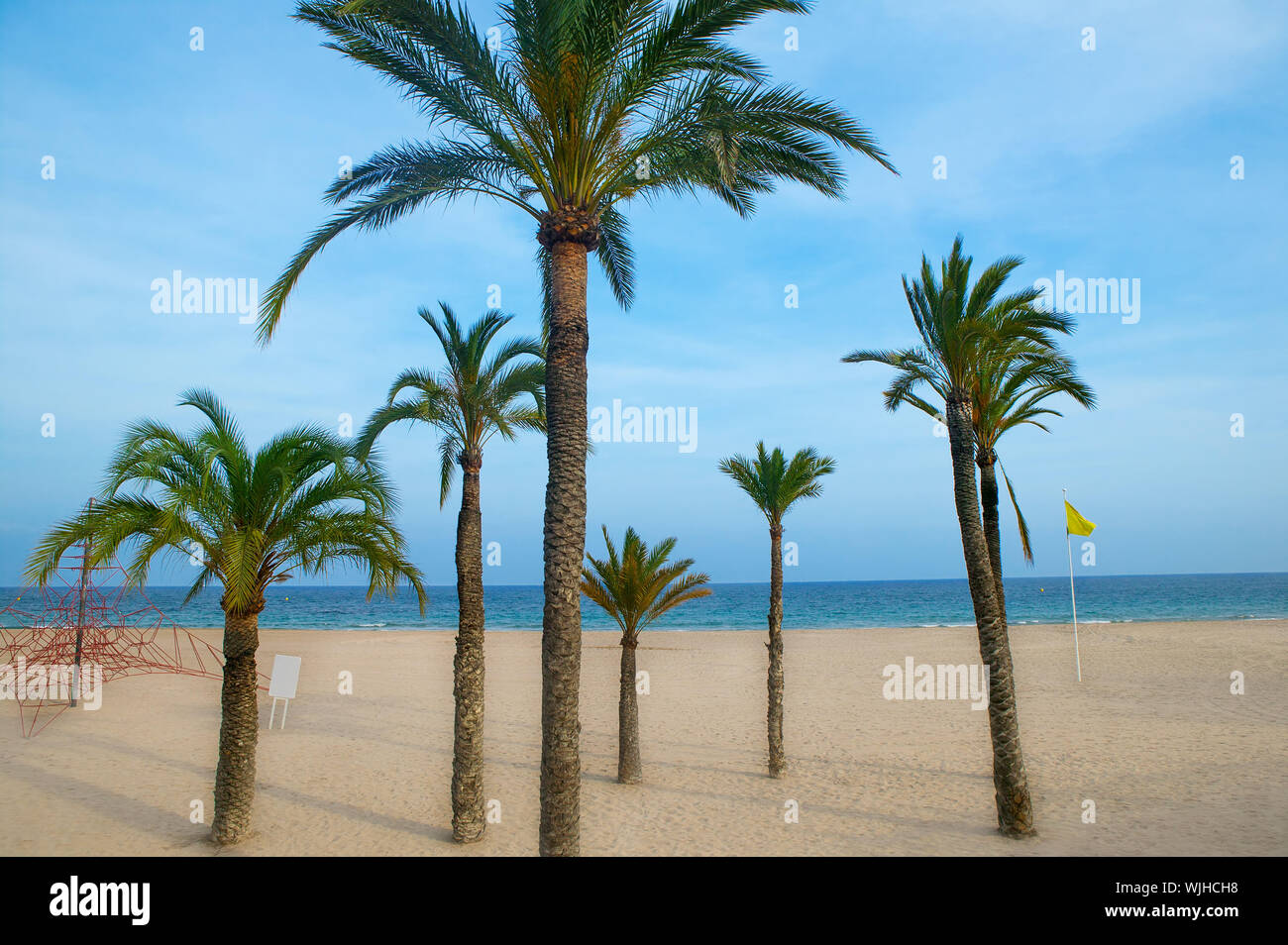 Benidorm palm trees beach in mediterranean alicante from spain Stock ...